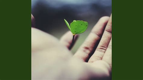 Image result for Dhola Programme