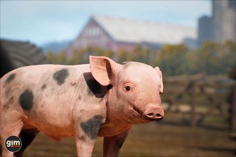 Image result for Unity Android Pig 2D