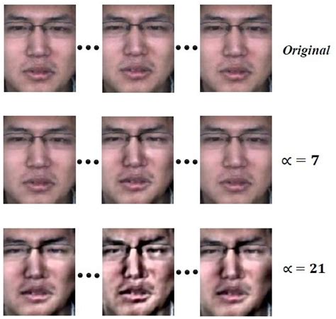 Image result for Motion Magnification