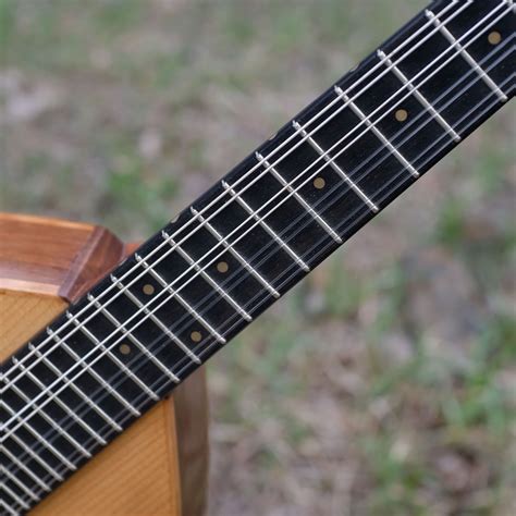 Image result for Nylon String Mandolin