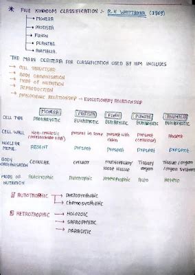Image result for Biological Classification Emct Lesson Explanation