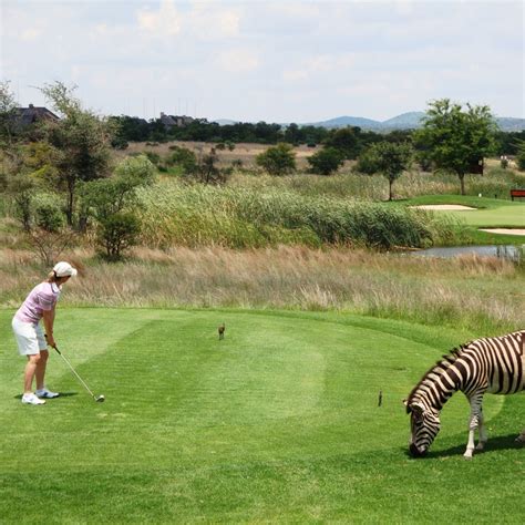 Image result for Elements Golf Course