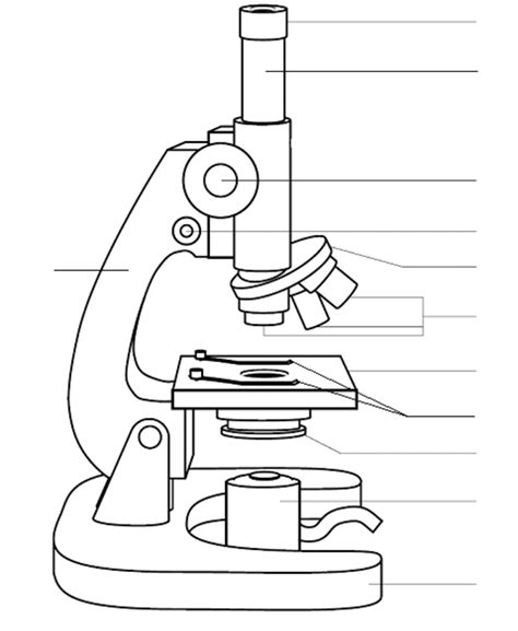 Image result for Microscope Label Diagram