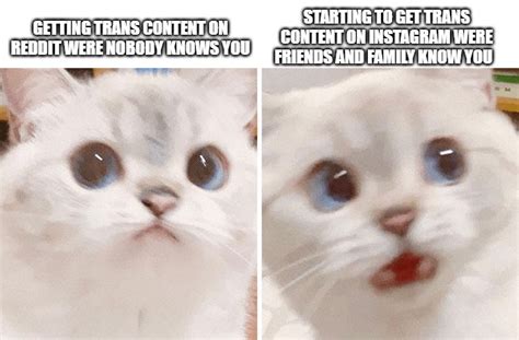 Image result for Gods Algorithm Applications