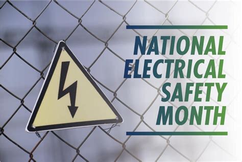 Image result for Neta Testing Electrical