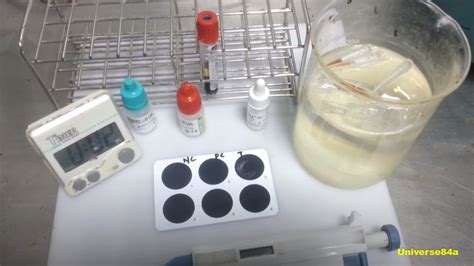 Image result for Sructural Test Procedure