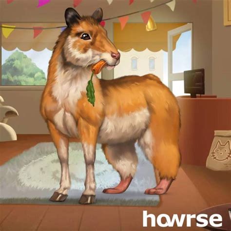 Image result for Code Howrse