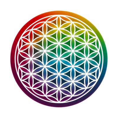 Image result for Color Wheel Transparent