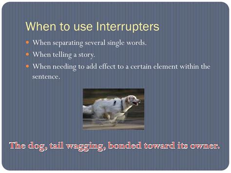 Image result for Comma Interrupters Examples