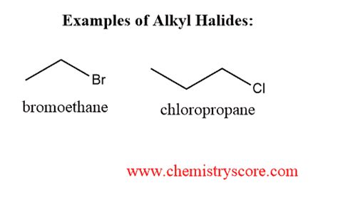 Image result for Alkyl Halide Examples