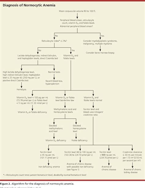 Image result for Algorithm for Anemia Work Up