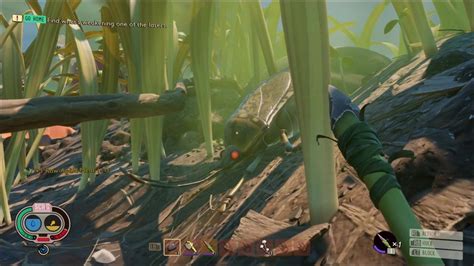 Image result for Grounded Tips