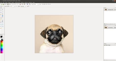 Image result for Add-Ins Menu