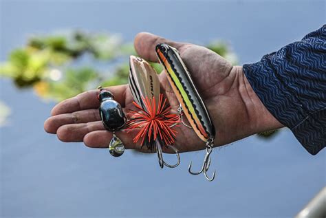 Image result for Snakehead Fish Hunting