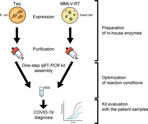 Image result for RT-PCR Master Mix