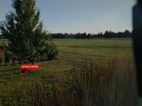 Image result for Tensorflow Lite Object Detection