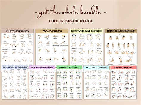 Image result for Stretching Exercise Chart