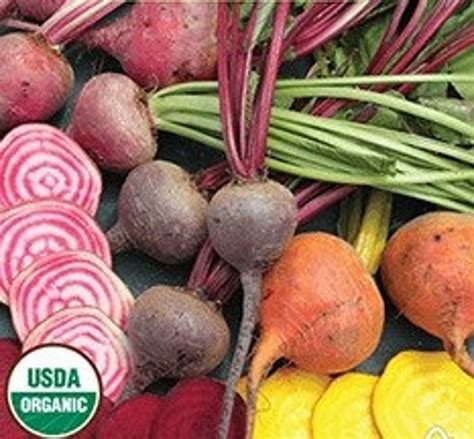 Image result for Color of Beets