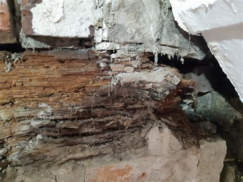 Image result for Splice Timber Repairs