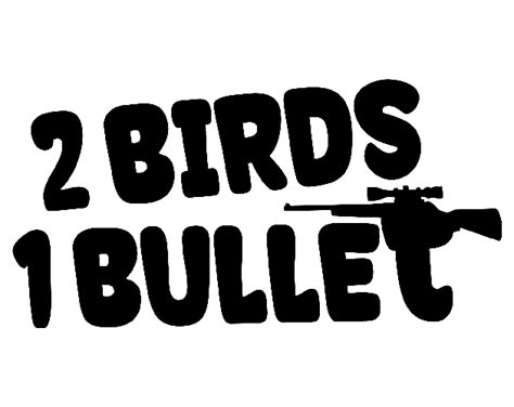 Image result for 3 Birds One Bullet