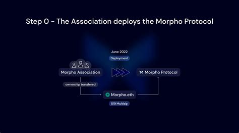 Image result for Morpho Problem