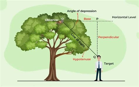 Image result for How to Solve Angle of Depression Problems
