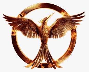 Image result for Mockingjay Pin Hunger Games Symbol