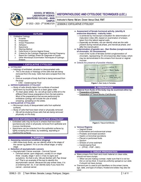 Image result for Laboratory Paper Box Histopath