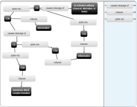 Image result for Complement System Map