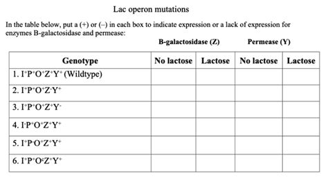 Image result for Lac Operon Mutations