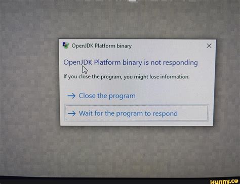 Image result for Java SE Platform Binary Not Responding