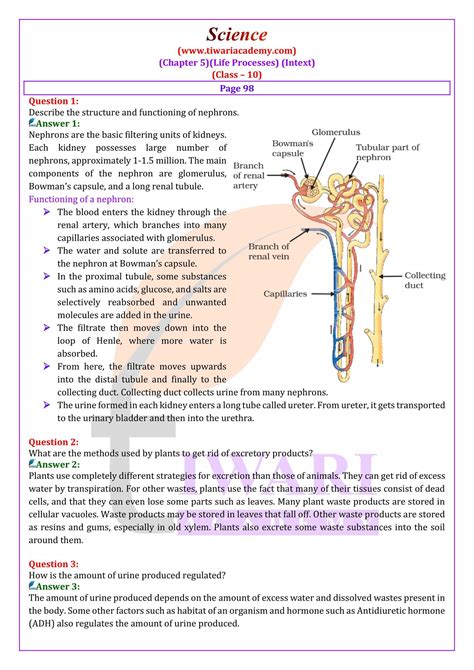 Image result for Class 10 Science Chapter 5 Life Process
