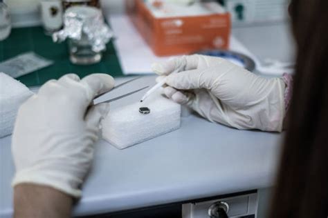 Image result for Modern Electron Microscope