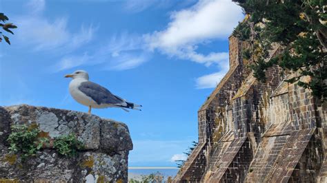 Image result for BSF Lecture Lesson 23