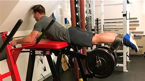 Image result for Reverse Hyper How To