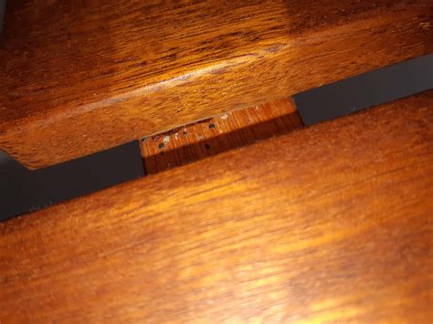 5 Bed Bug Signs: What To Look For And How To Treat Them