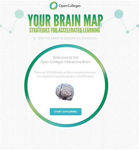 Image result for Brain Map