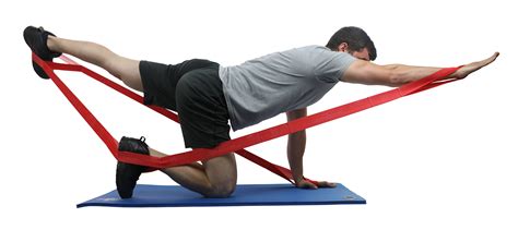 Image result for Cando Dynamic Exercises