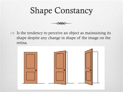 Image result for Shape Constancy Example