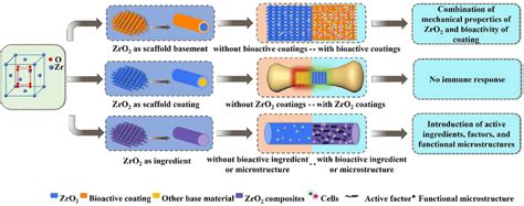 Schematic applications of ZrO2 in scaffold | Download Scientific Diagram
