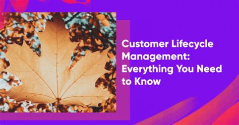 Image result for Customer Lifecycle Management Tools