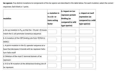 Image result for Lac Operon Mutations