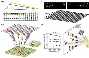 Image result for Geometric Phase Metasurface