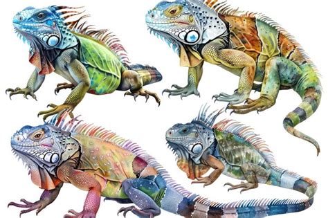 Image result for Different Color Lizards