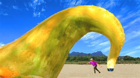 Image result for Big Volcano Toothpaste