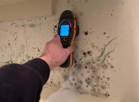 Image result for Mold Air Sampling Plating