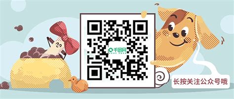 Image result for Number Code Pic