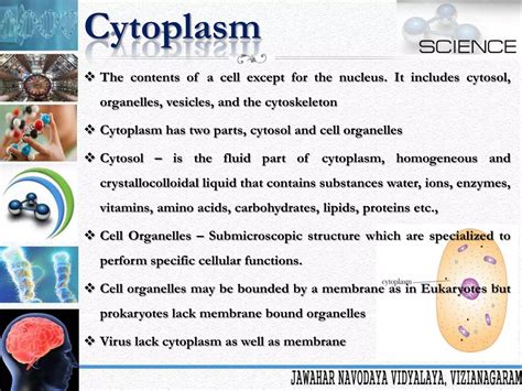 Image result for Basic Unit of Life