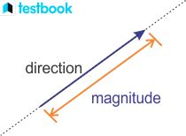 Image result for Vector Types