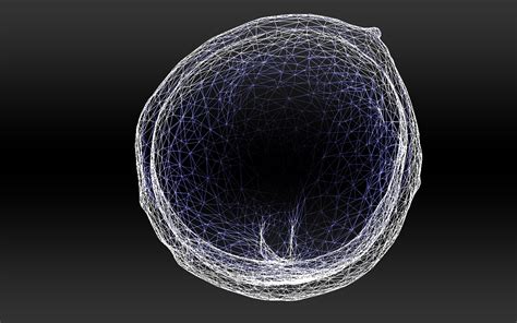 Image result for Coconut Shell Models